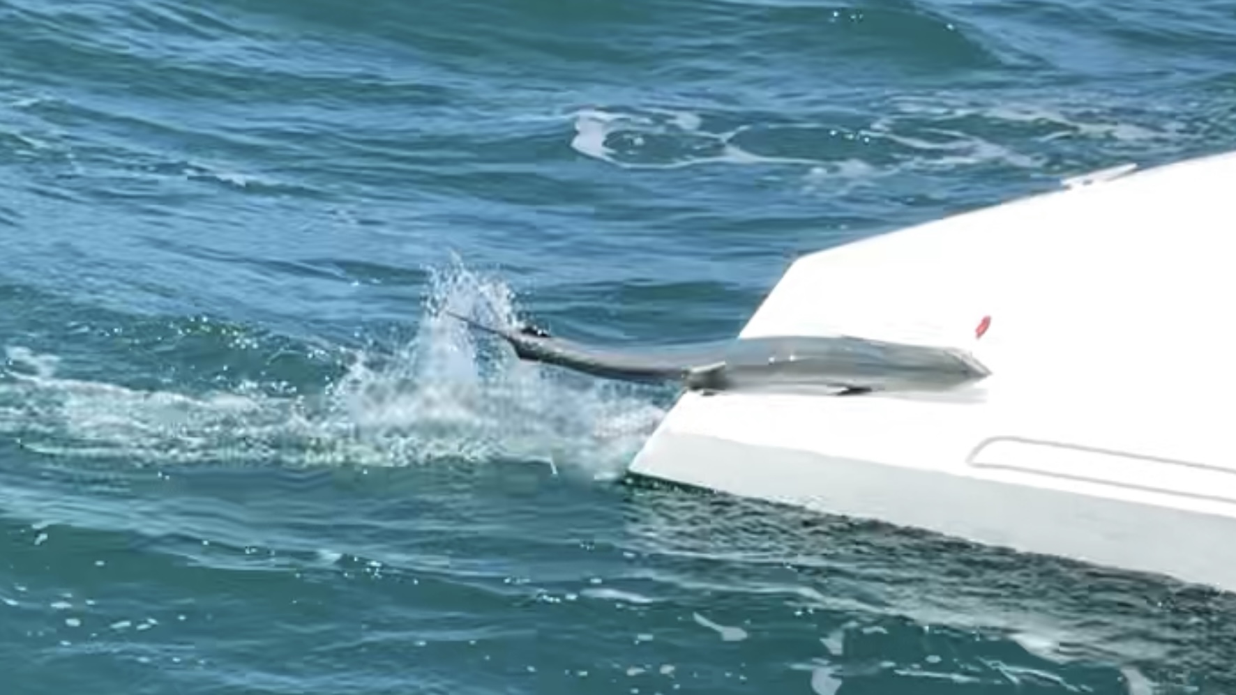 Malay Bay – blu:venture